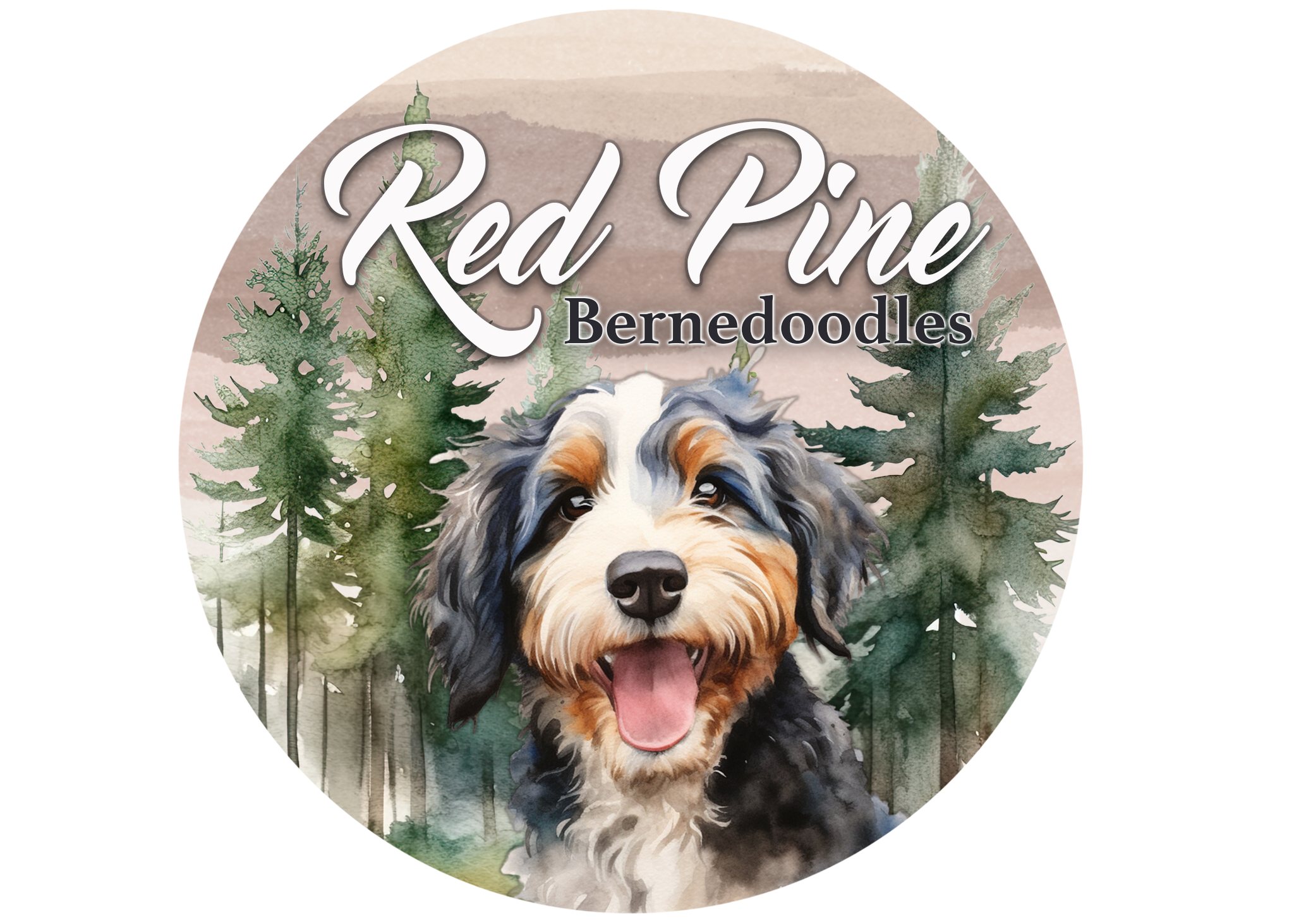 Contact Us – Red Pine Bernedoodles